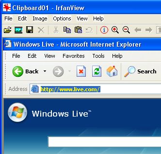 Internet Tip - IrfanView Tips for Webmasters